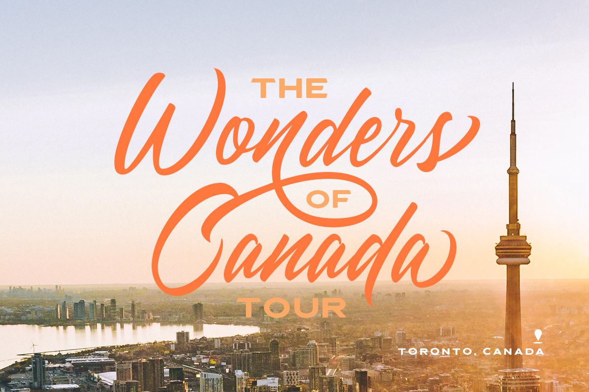 Quick Counters - Brush Script, Fonts | GraphicRiver